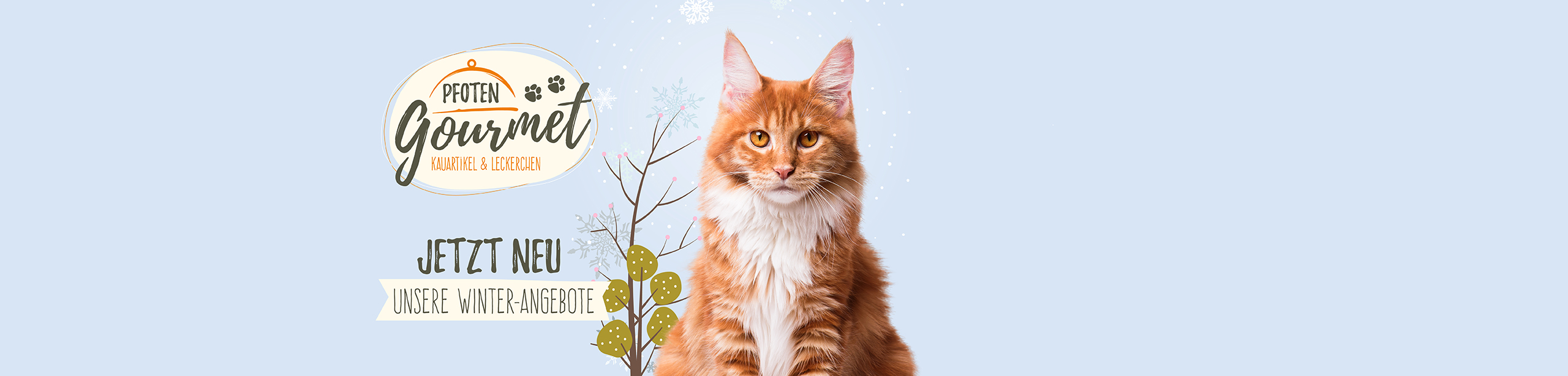 Gesundes Tierfutter für Hunde & Katzen - Vet-Concept